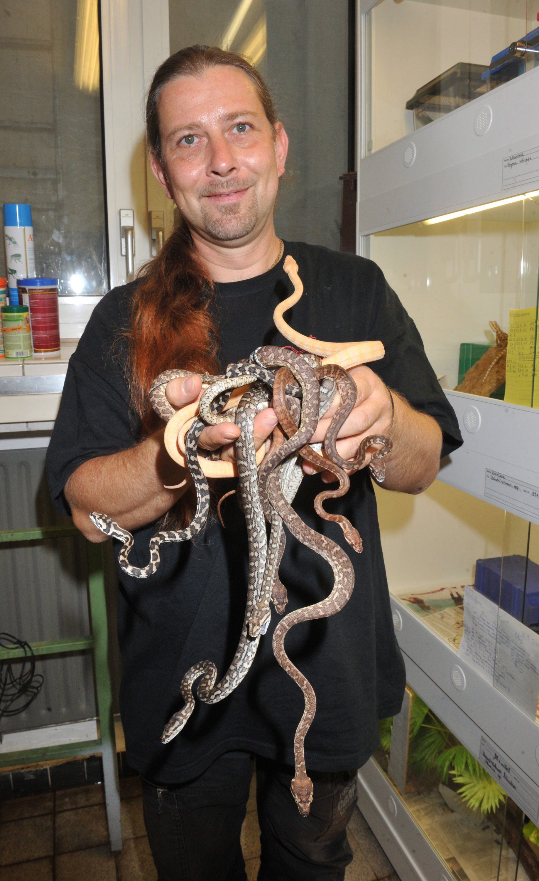 Със затопляне на времето змиите са се събудили сн Архив Лайф Dir Bg