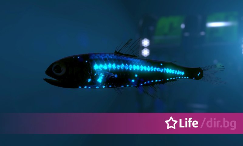 Китайски учени разработиха риба-робот, която събира микропластмаси | it ...