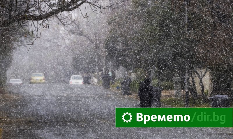 Сняг заваля в Йоханесбург за радост на децата (видео/снимки) | vremeto ...