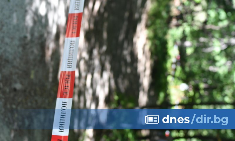 Една година след убийството на Алексей Петров няма нито заподозрян ...