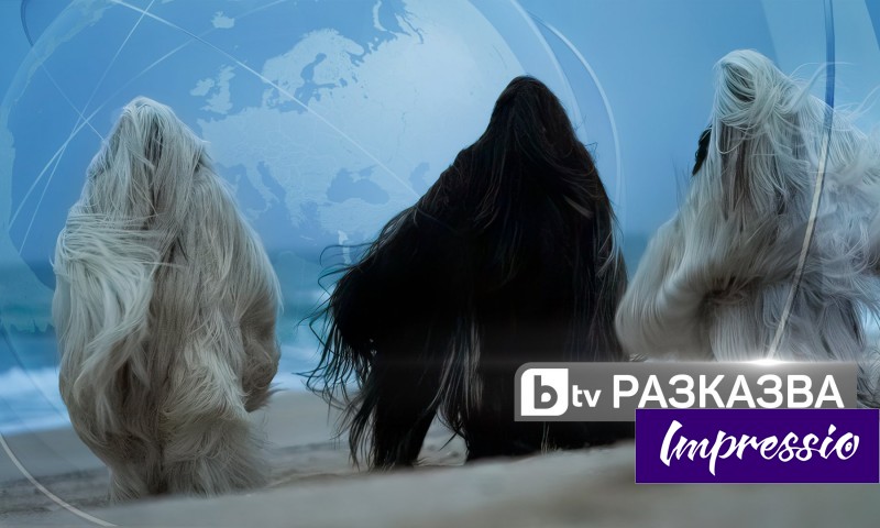 "bTV разказва" е новото документално предаване в ефира на bTV | impressio.dir.bg