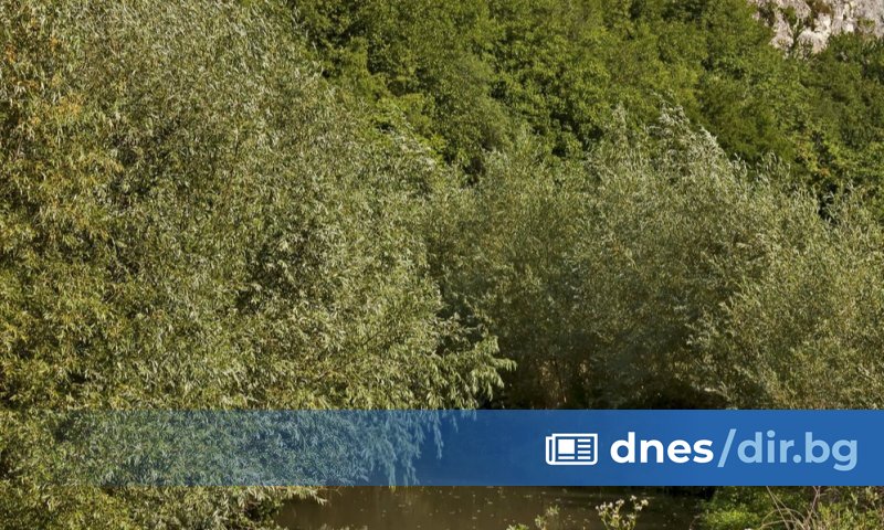 Взеха проби и от река Бели Лом заради неприятни миризми в Разград ...