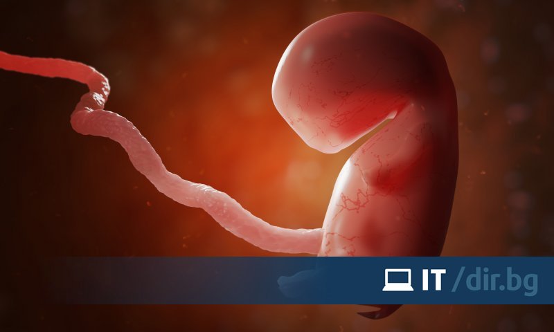 Китай изпрати синтетични човешки ембриони на космическата станция ...