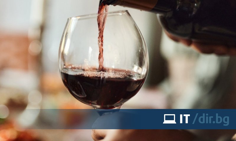 Алкохолът причинява дълготрайни мозъчни увреждания | it.dir.bg