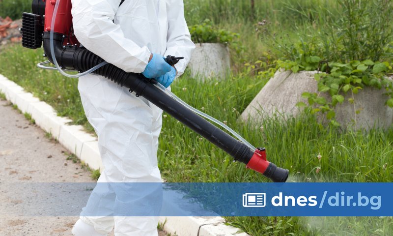 Започват обработки срещу комари в Русе и населените места от общината ...