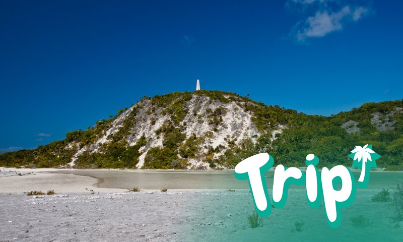 Прословутият Fyre фестивал се завръща, този път на Карибите | trip.dir.bg