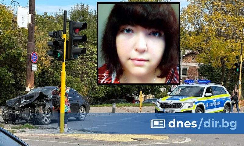Коментари - 75-годишният шофьор, заради когото загина столичанката Зорница, се призна за виновен ...