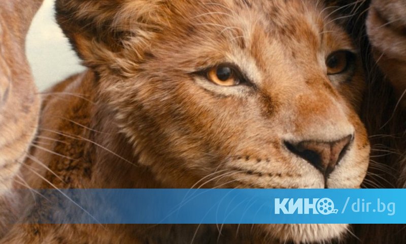 „Муфаса: Цар Лъв“ не успя да измести „Соник: Филмът 3“ от върха на празничния боксофис в Северна ...