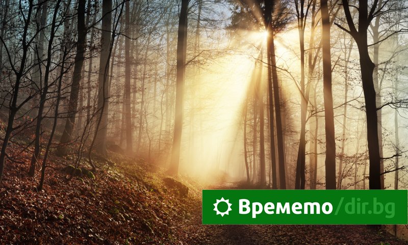 НИМХ: Декември - по-топъл от обичайното, температури от минус 10 до ...