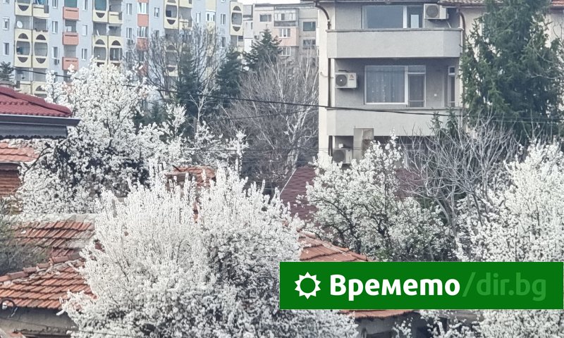 За трети пореден ден в Хасково отчитат температурен рекорд | vremeto.dir.bg
