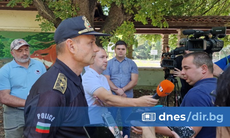 Жена е подала сигнал, че леопардът в Шумен е пресякъл пътя ѝ | dnes.dir.bg