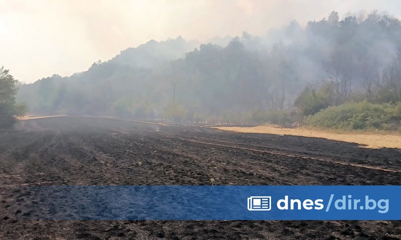 Коментари - 15 000 дка са изгорели в пожара край Белоградчик, кметът призова за помощ и още ...