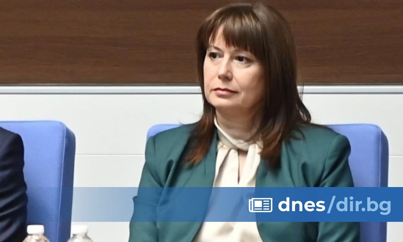 Велислава Делчева | dnes.dir.bg