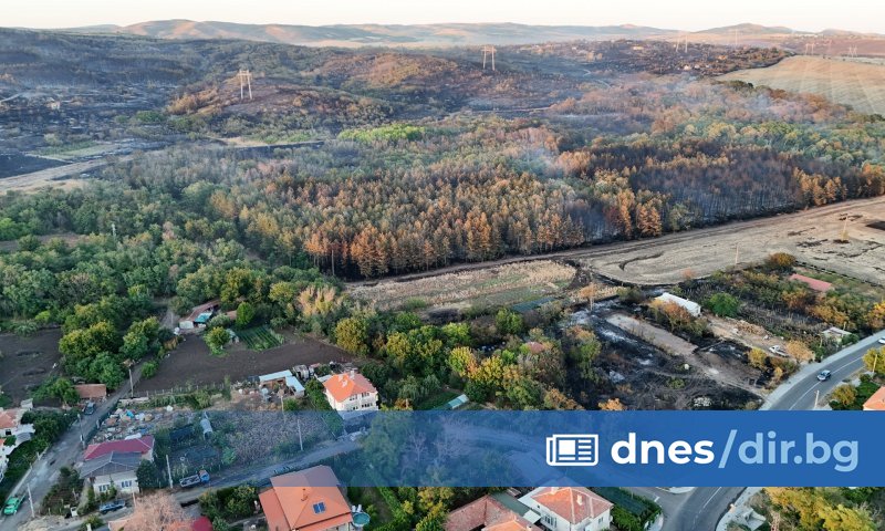 Мъж е задържан в Българово за убийство на куче | dnes.dir.bg