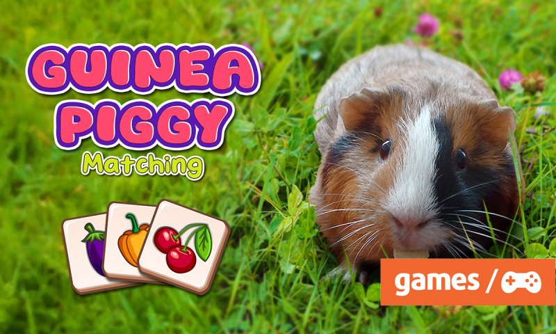 games.dir.bg
