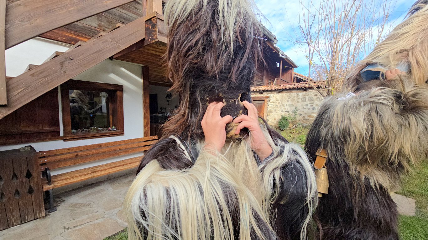 Подготвят кукерското дефиле за фестивала "Старчевата" в Разлог (снимки ...