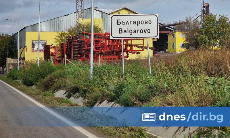 Мъж е задържан в Българово за убийство на куче | dnes.dir.bg