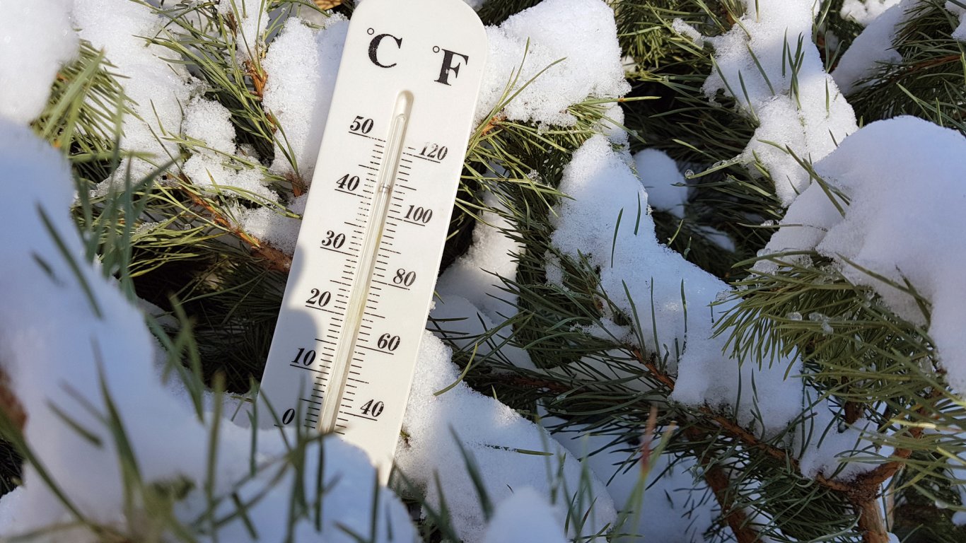 Пролет посред зима: 14 градуса измериха в Русе | dnes.dir.bg