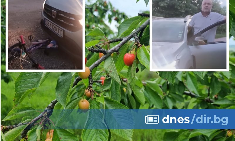 След агресията заради шепа череши и предстоящ протест: Мъжът заявил ...